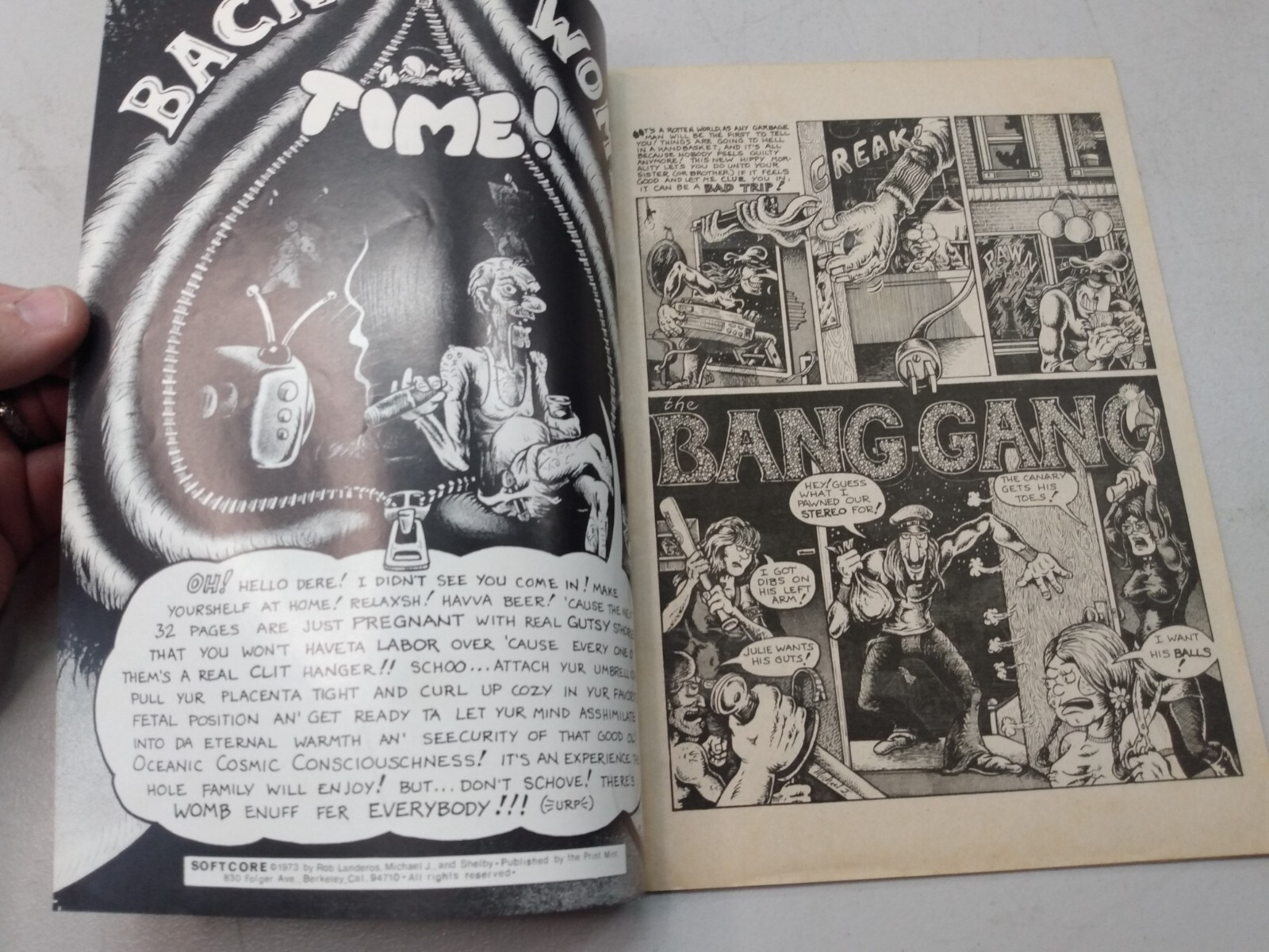 Softcore Print Mint 1973 Comic Book VHTF | eBay