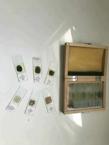 24PCS Geology Microscope Prepared Slides Mineral Thin Section Slides ...