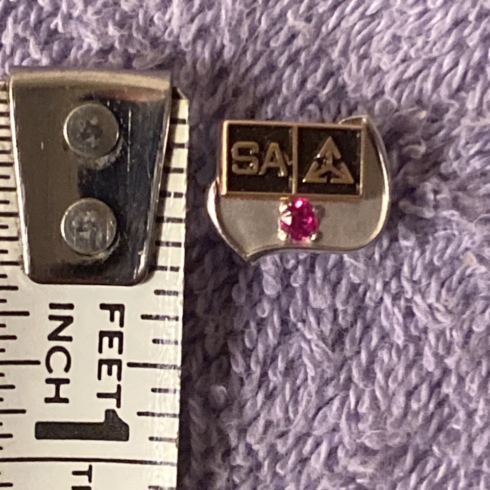 Vintage CTO 10 K White Gold Ruby Sanders Associates Inc Pin | eBay