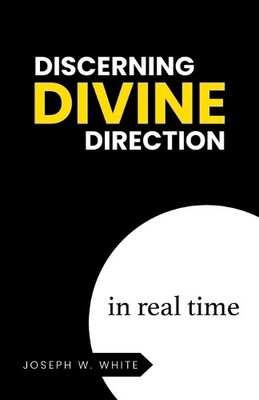 Joseph W White Discerning Divine Direction in Real Time (Tascabile) | eBay