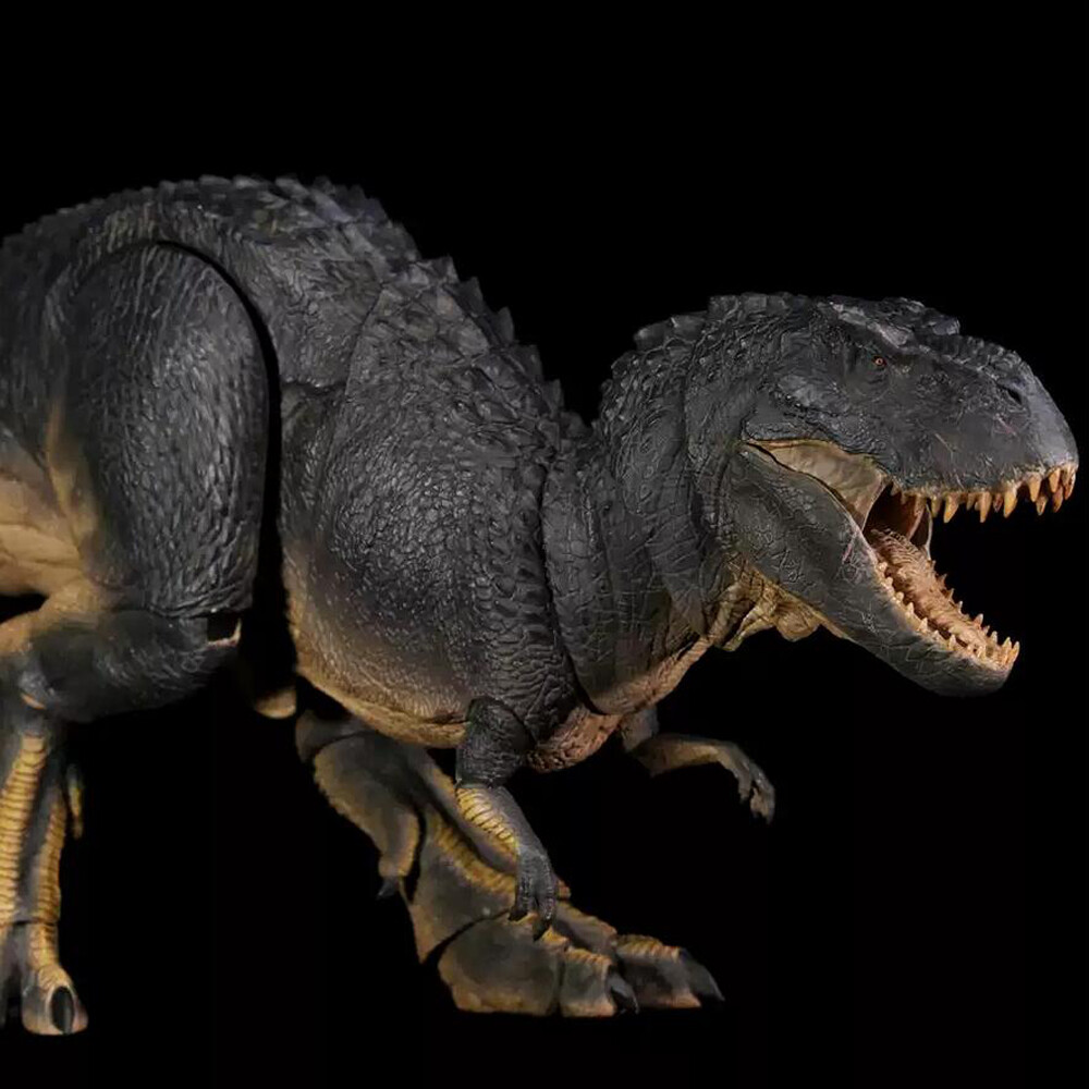 Difference Between T Rex And V Rex - Infoupdate.org