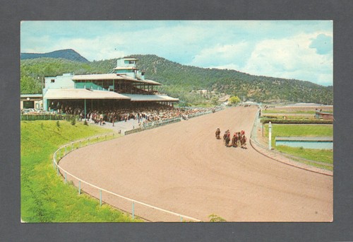 Vintage 1968 Postcard Ruidoso Downs Horse Race Racing Track NM New ...