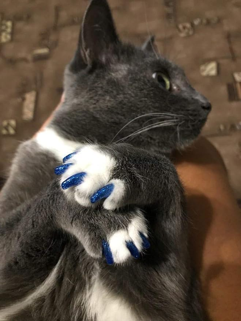 140Pcs Cat Nail Caps, Colorful Pet Cat Soft Claws Nail Covers for Cat ...