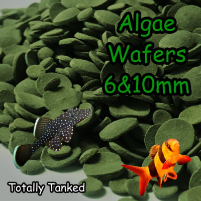 TANKED Vege Disc Algae Wafers 6&10mm 250g Aquarium Catfish Fish Food ...