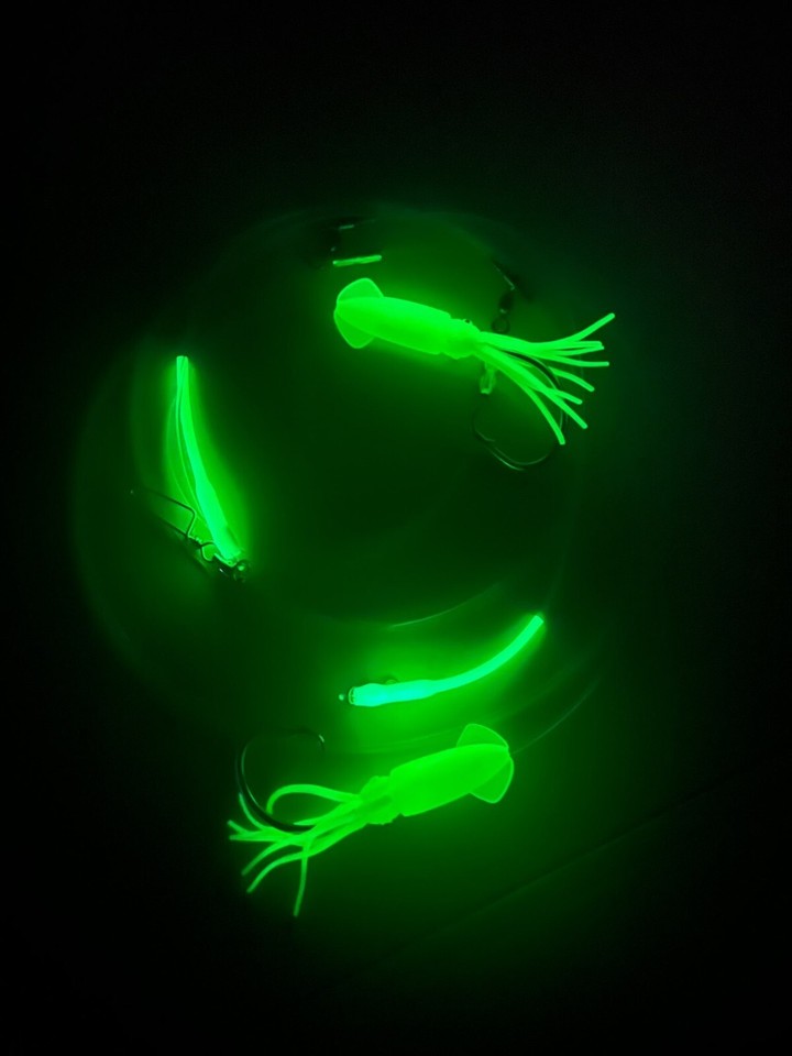 2 Halibut Fishing Rigs - 2 Glow Squid, LED light, 2 Circle Hooks Deep ...