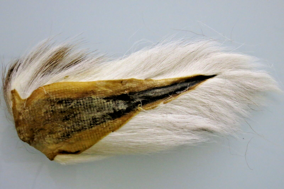 SupplyIt Large Northern Bucktail Natural White Fly Tying Material Deer ...