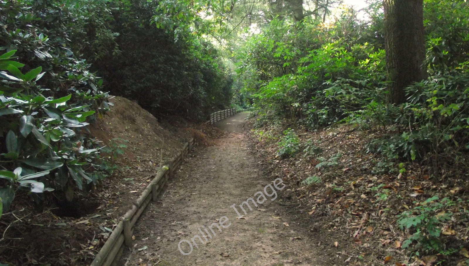 Photo 6x4 The Bateman Walk Biddulph The Bateman walk runs behind the ...