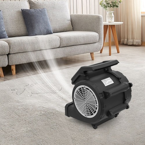 250W Blower Fan Black Floor Drying Fan Portable Floor Blower Fan with 3 ...