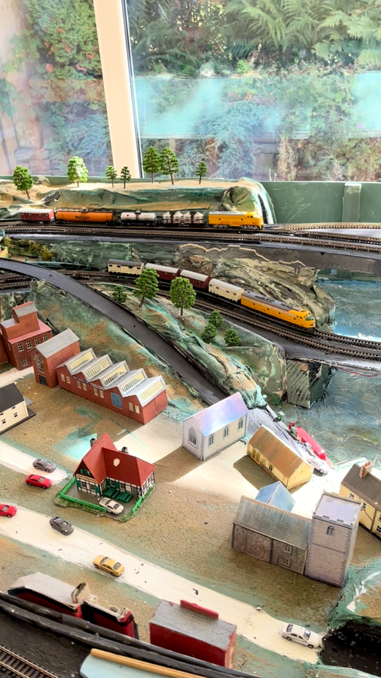 n gauge train set layout | eBay UK