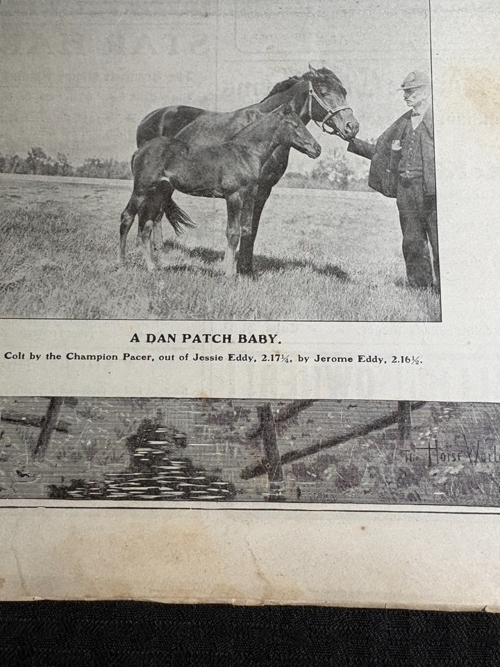1905 Jan 31 THE HORSE WORLD Magazine GD 2.0 Dan Patch Champion Harness ...