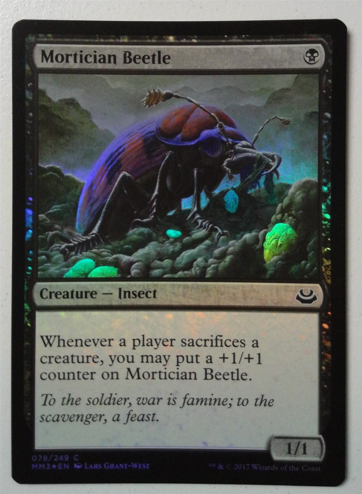 Mortician Beetle *FOIL Common* Magic MtG x1 Modern Masters 2017 SP | eBay