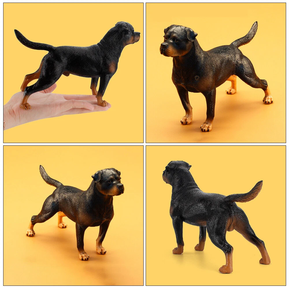 Toy Rottweiler Full Grown