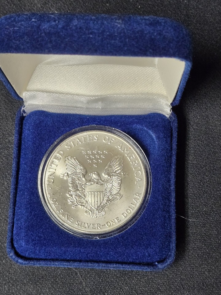 American Silver Eagle 2000 Colorized 1 oz Coin | eBay