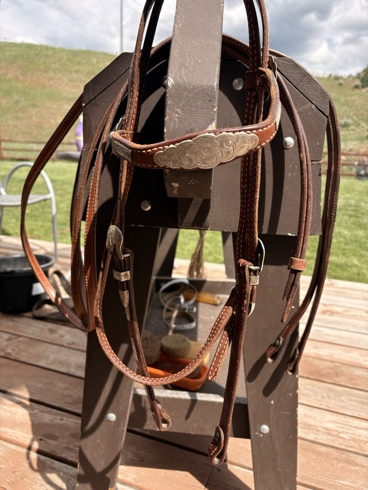 Arianism/Large Pony Size Western Show bridle with silver | eBay