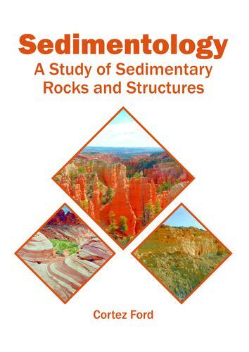 Sedimentology: A Study of Sedimentary Rocks and Structures [Hardcover ...