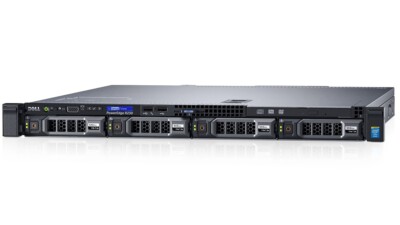 Dell PowerEdgeR330,4 x3.5"chassis,1xE3-1230v5,32GB memory,2 x 300GB SSD ...