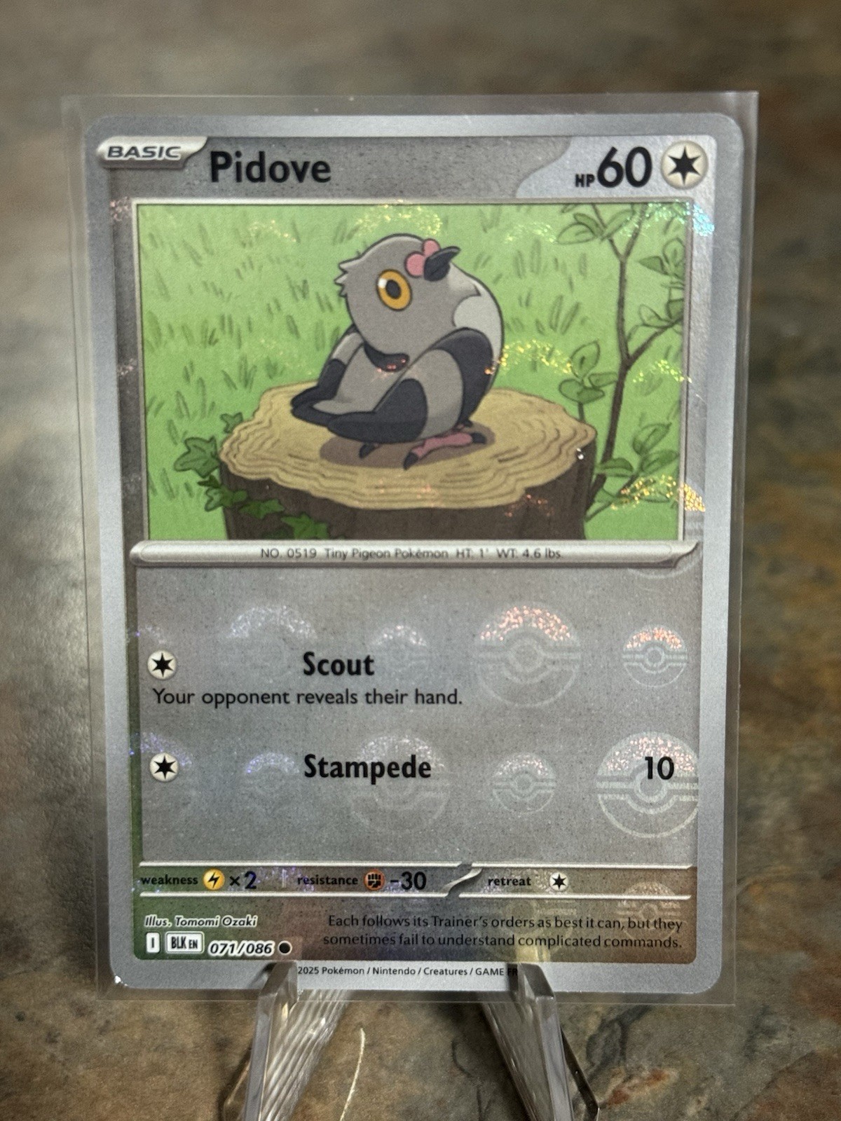 Pokemon Pidove Poke ball Reverse Holo 071/086 SV: Black Bolt | eBay