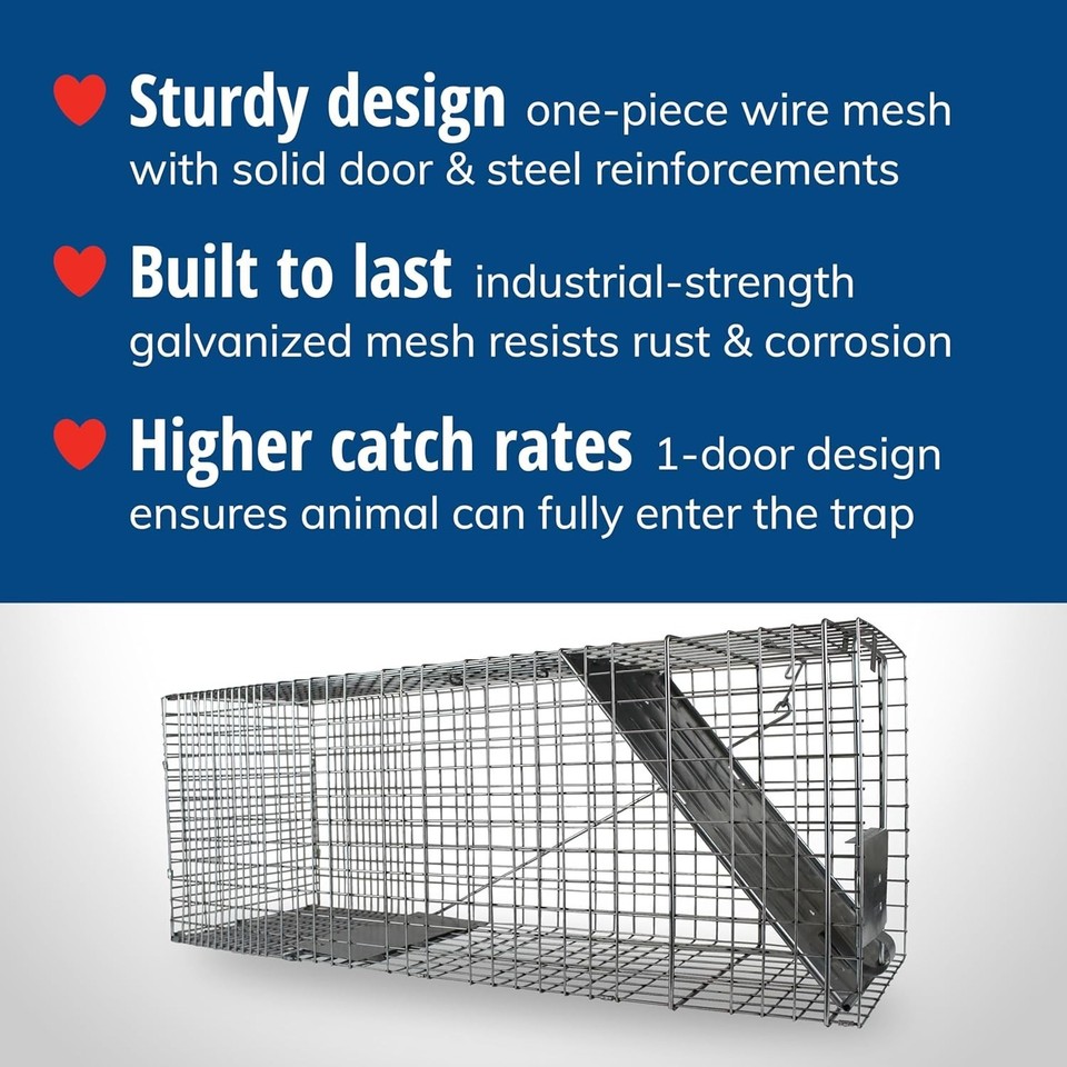 Havahart 1079SR Large Humane Live Animal Trap 1-Door Raccoon Groundhog ...