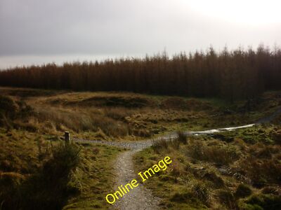 Photo 6x4 Dunnockshaw Community Woodland Clow Bridge/SD8228 Taken on ...