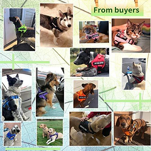 Service Dog Harness, Emotional Support Pet Vest Medium (Pack of 1) Blue ...