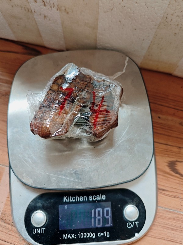 Exquisite Tooth Fossils from the Ice Age - Ancient Fossil Specimen | eBay