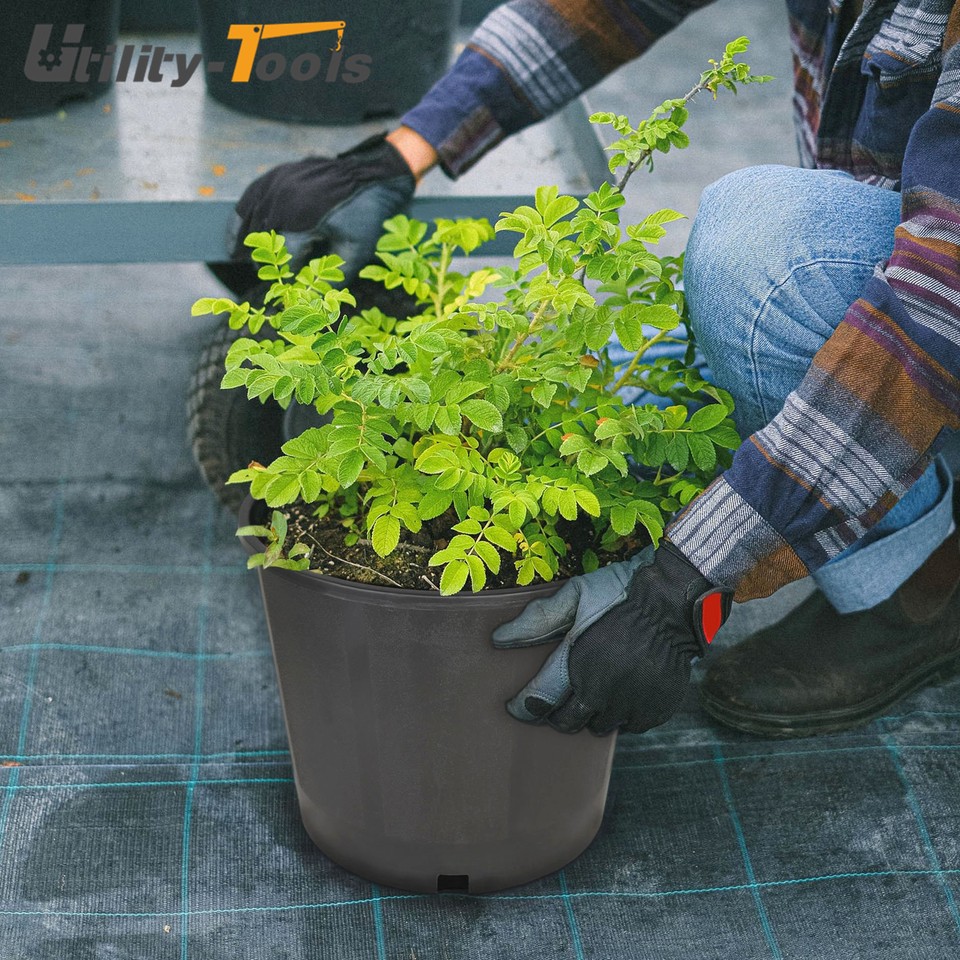 10X 5gallon Squat Heavy Duty Premium Plastic Nursery Plant Container ...