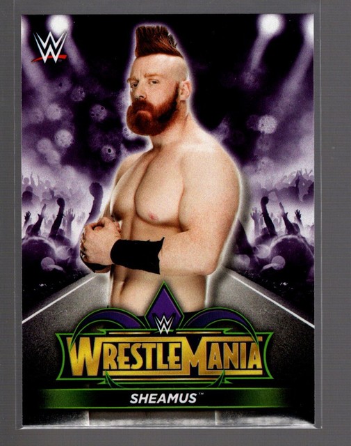 Wrestlemania 22 card - weeklysos