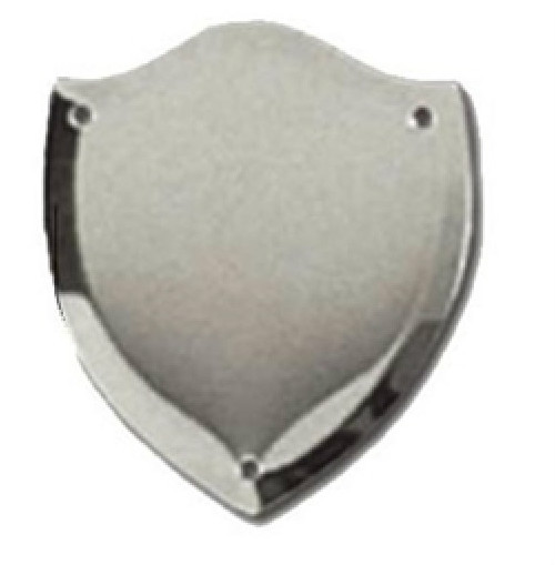 ANNUAL TROPHY SILVER SIDE SHIELDS FREE ENGRAVING PLATES AWARD CARTOUCHE ...