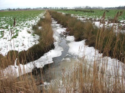 Photo 6x4 Ice-covered ditch in Hardley Marshes Cantley/TG3803 Despite ...