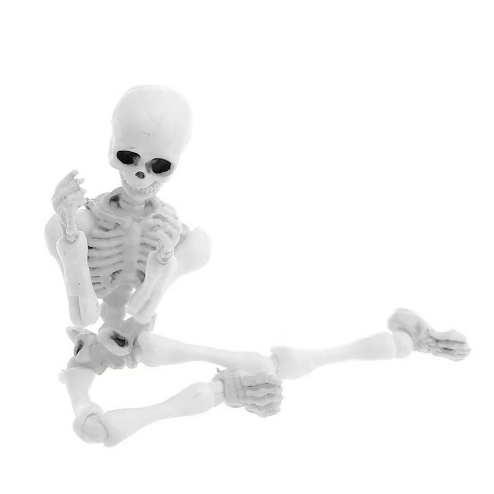 1PC Movable Skeleton Human Model Skull Full Body Mini Figure Toy ...