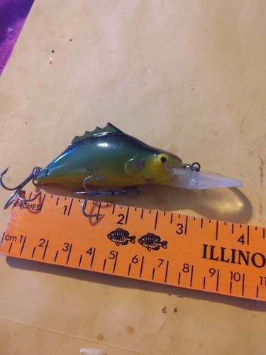 Vintage Tom Manns Hackleback Rooter Lure Bowfin Crank bait | eBay