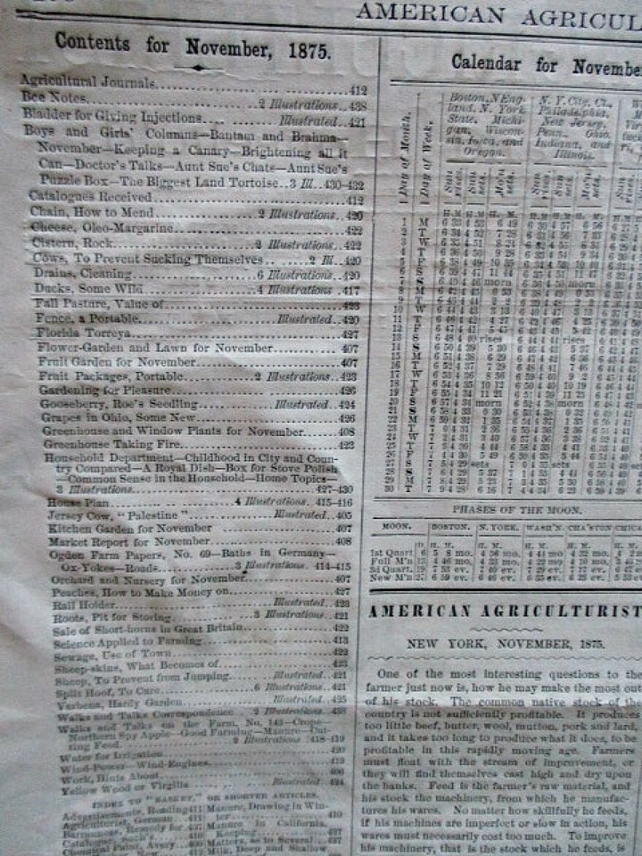 Vintage AMERICAN AGRICULTURIST, November 1875, Monthly Newspaper ...