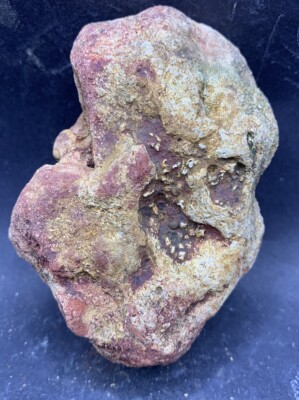 Fossilized Indiana Agate crinoid Stems In Jasper Bedrock 8oz | eBay