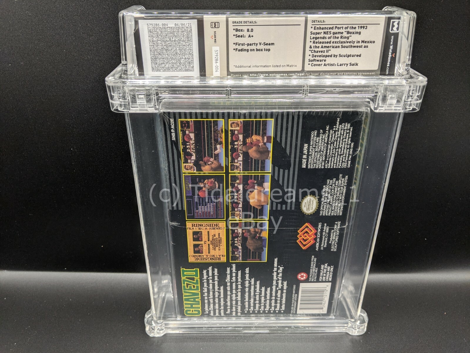 Chavez Boxing II (Super Nintendo Entertainment System, 1994) for sale ...
