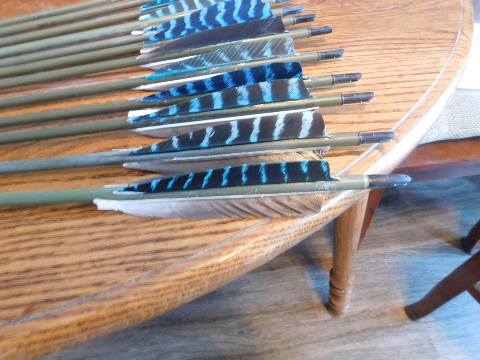 One Dozen Vintage Fiber Glass Arrows | eBay