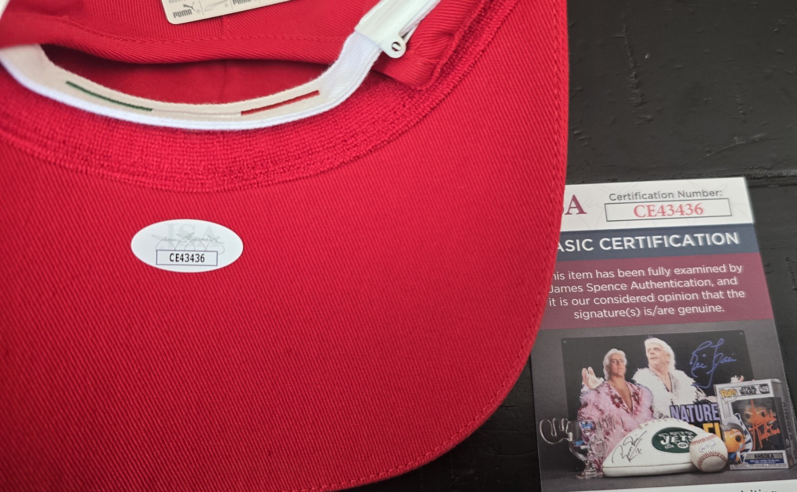Fernando Alonso JSA Certified Autographed Santader Ferrari Formula 1 ...
