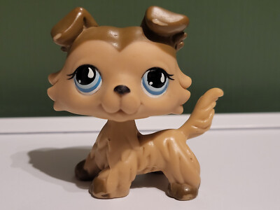 LPS #893 LITTLEST PETSHOP ORIGINAL AUTHENTIQUE CHIEN COLLEY DOG COLLIE ...