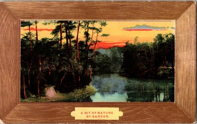 Vintage Postcard A Bit Of Nature By Sander Artist P.Sander Illustrated ...