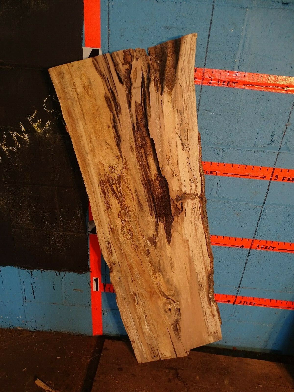 #A829 2 3/8" THICK spalted beech live edge slab table top end table | eBay