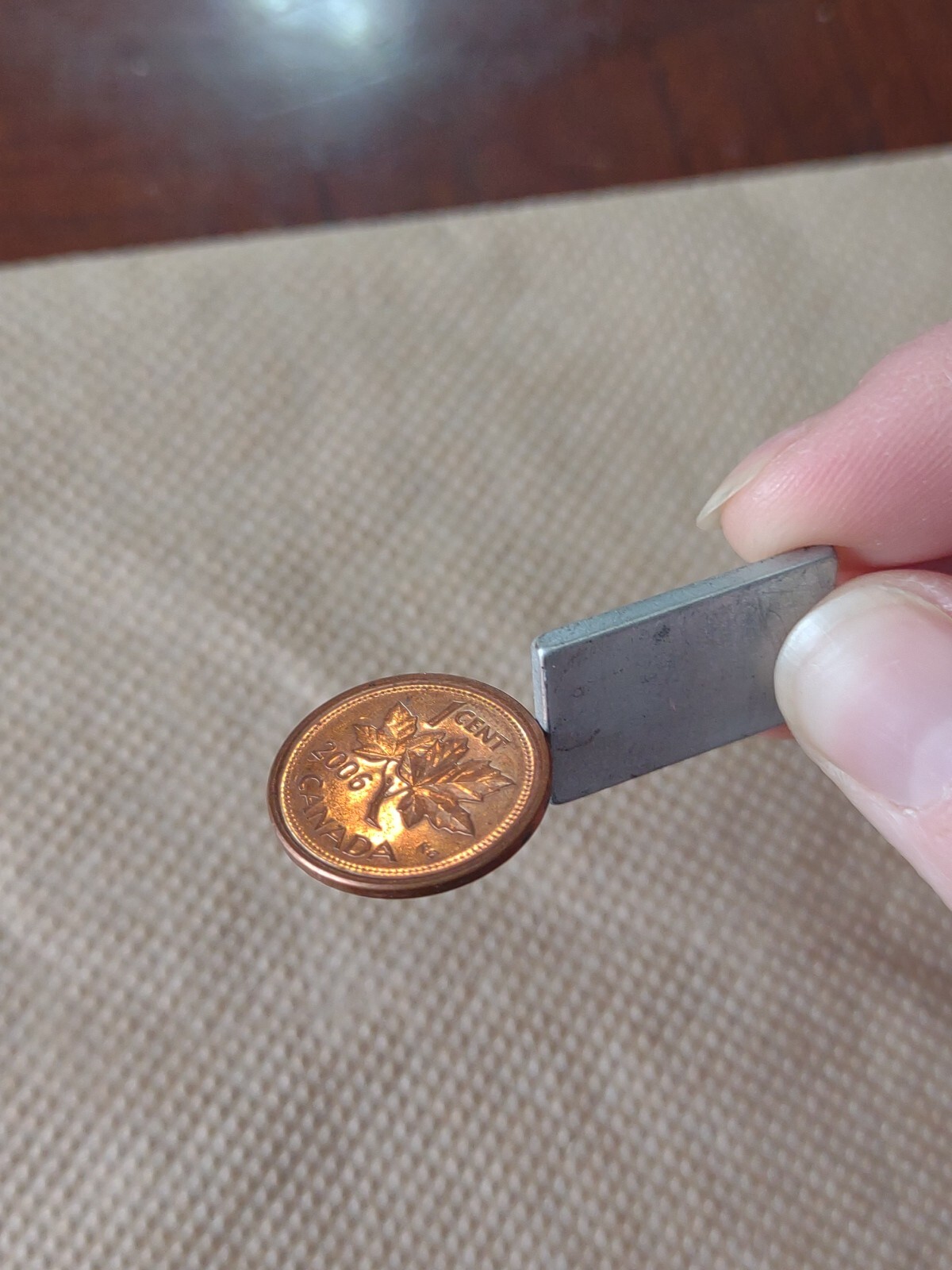 2006 L CANADA ONE CENT PENNY UNC - Magnetic COPPER PLATED STEEL ...