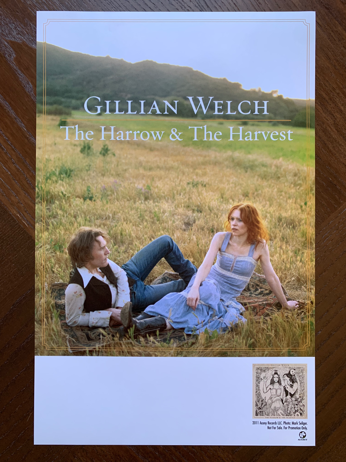 GILLIAN WELCH The Harrow & The Harvest 11x17 Concert Poster ORIG 2011 ...