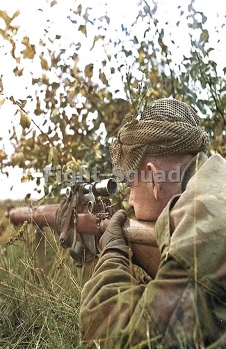 WW2 Picture Photo Belgium 1944 Canadian Sniper waiting for Geramn enemy ...