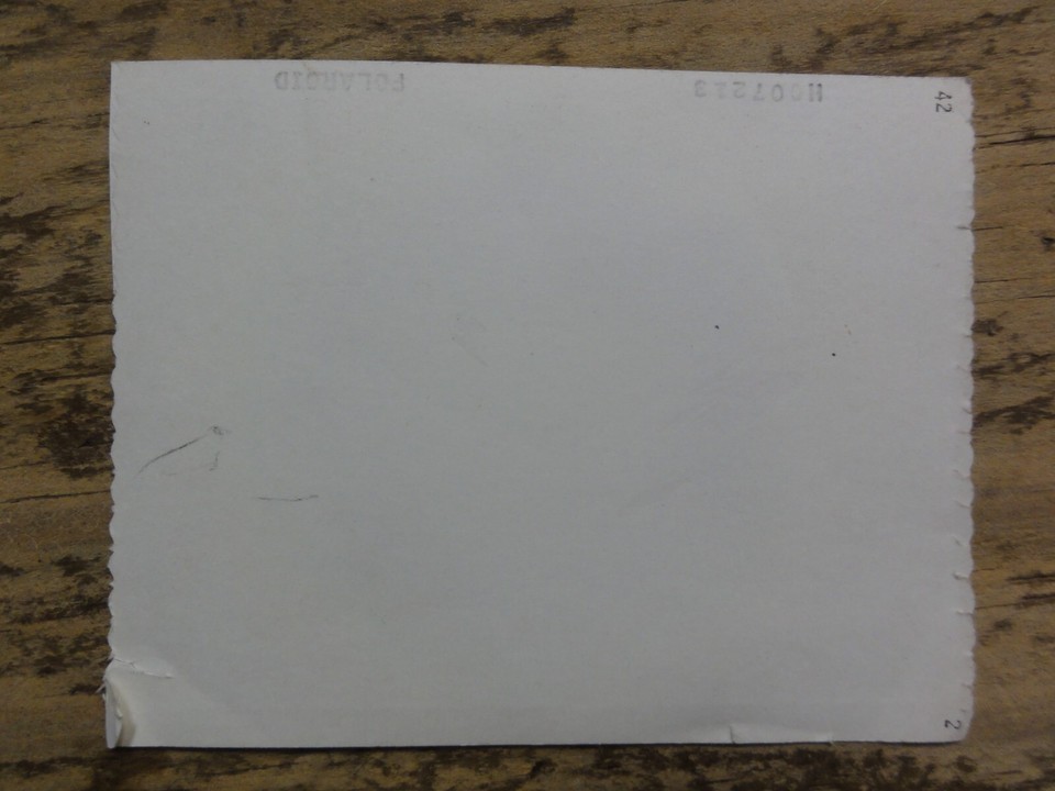 Early Polaroid Two Men Shriner Car Mohawk Vodka Sign in Background ...