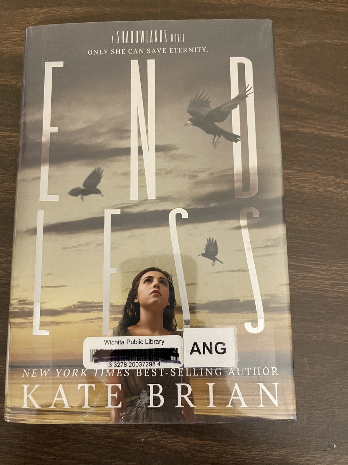 Shadowlands Ser.: Endless by Kate Brian (2014, Hardcover) for sale ...