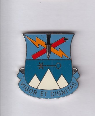 US Army 2nd Bde 10th Mountain Division STB crest DUI badge NHM | eBay