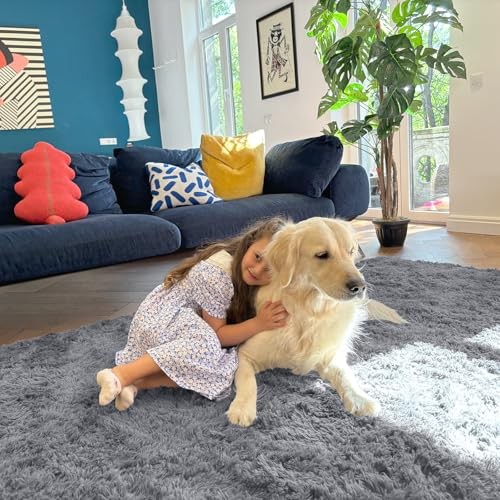 5x8 Machine Washable Large Area Rugs for Living Room, Bedroom, Soft ...