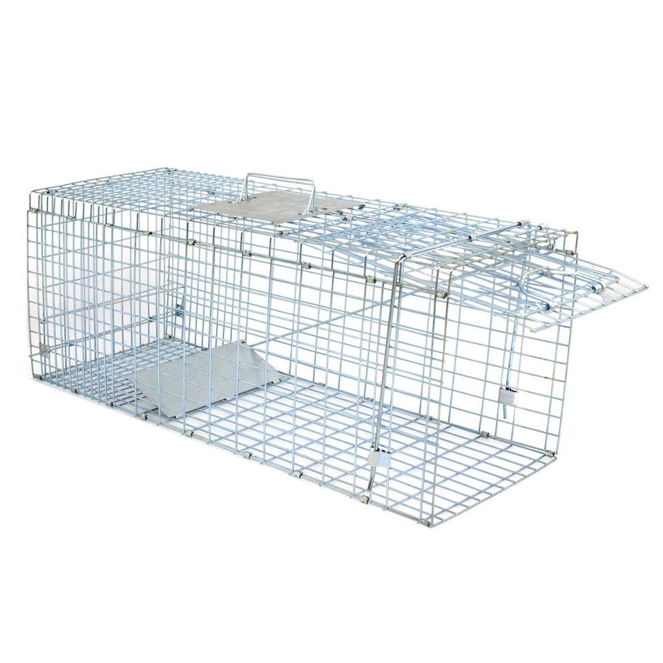 Extra Large Rodent Cage Live Animal Trap Garden Rabbit Raccoon Cat 32 ...