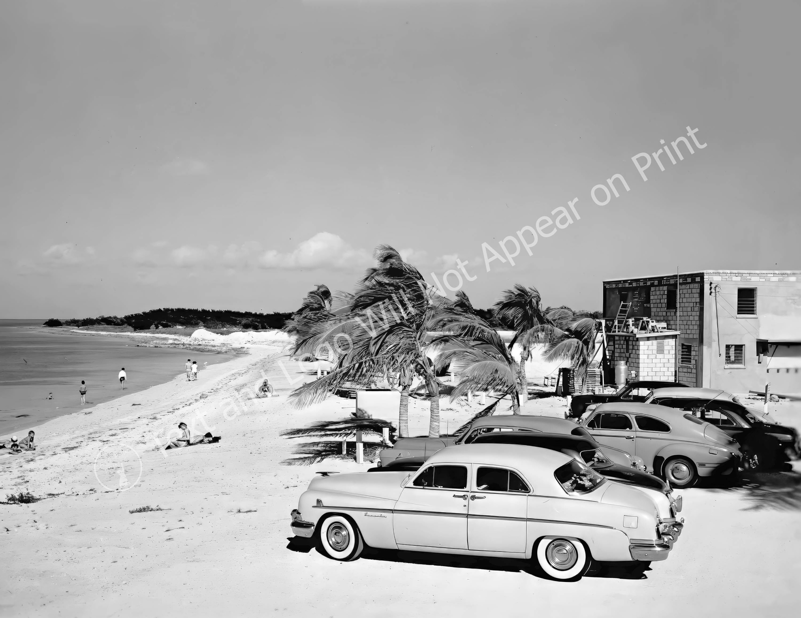 1952 Beach Scene, Florida Keys, Florida Vintage Old Photo Reprint | eBay