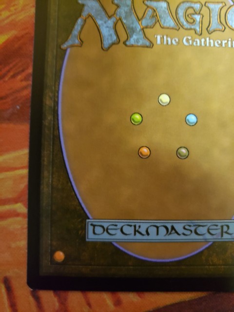 MTG Polyraptor Rivals of Ixalan 144/196 Regular Mythic for sale online ...