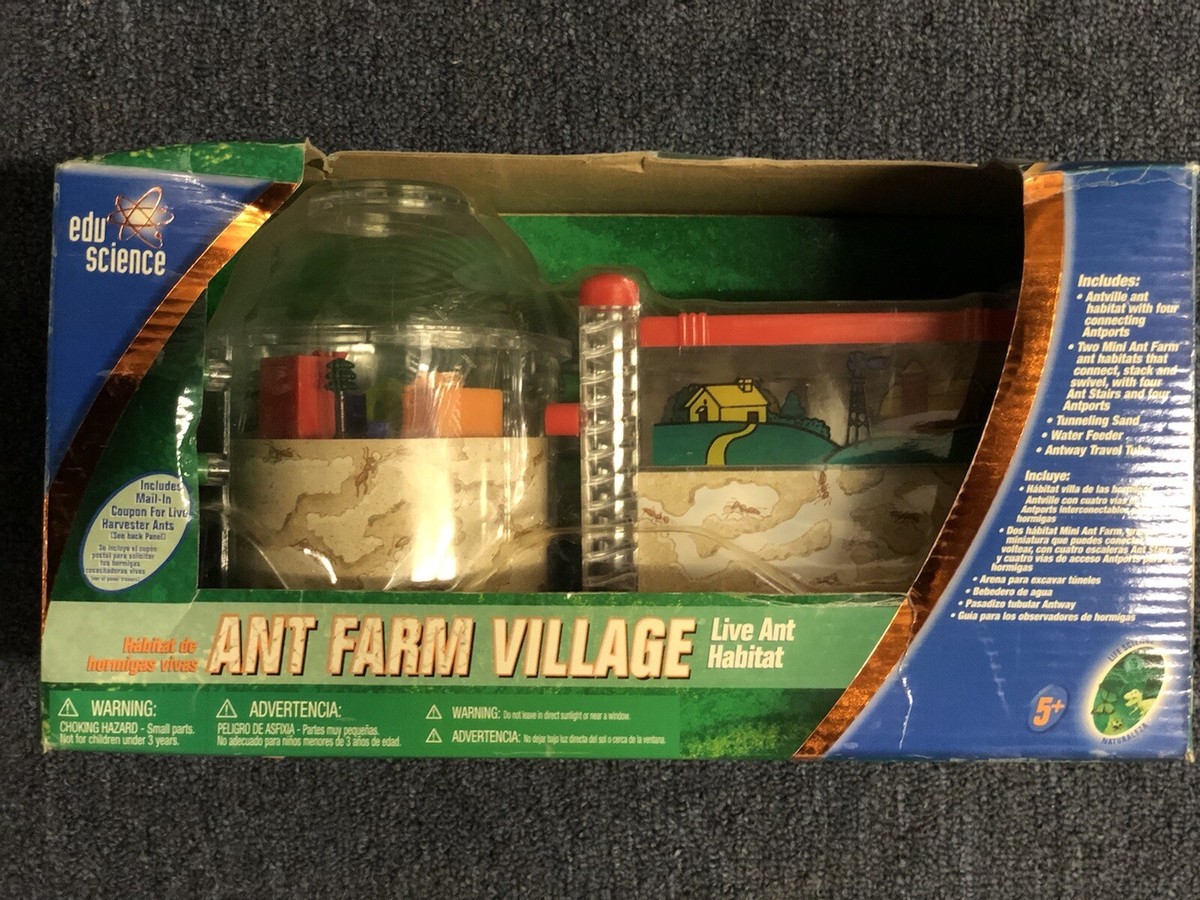 Ant Farm
